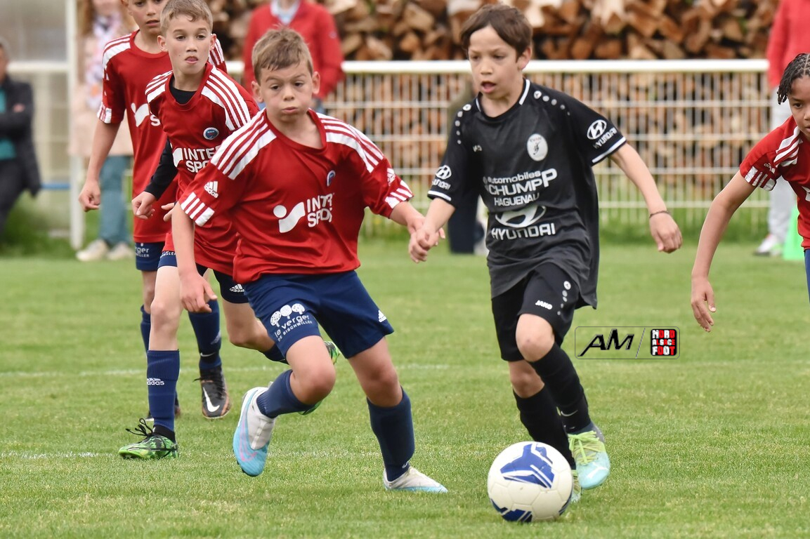 U13/D2 Titre | Oberlauterbach/GJAN 1 Vs FCSR Haguenau 2 en images ...